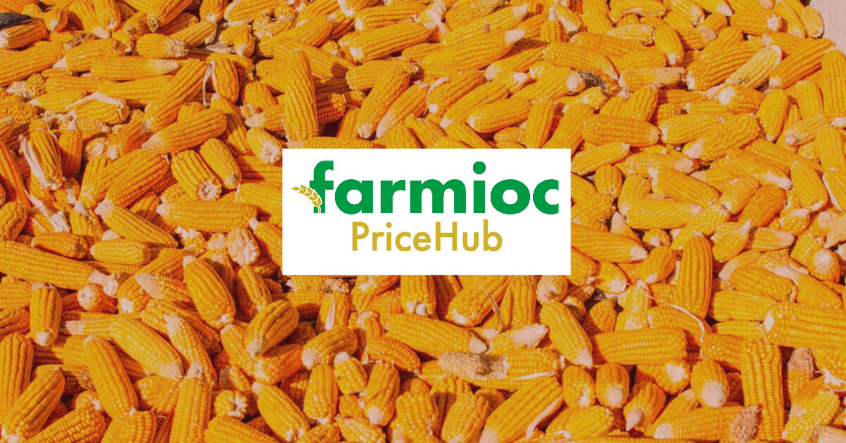 Maize (Corn) Prices in India | Farmioc PriceHub