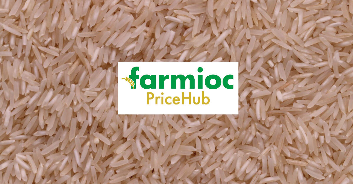 Rice Prices in India | Farmioc PriceHub